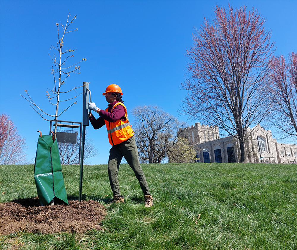 KC Tree Corps - Bridging The Gap