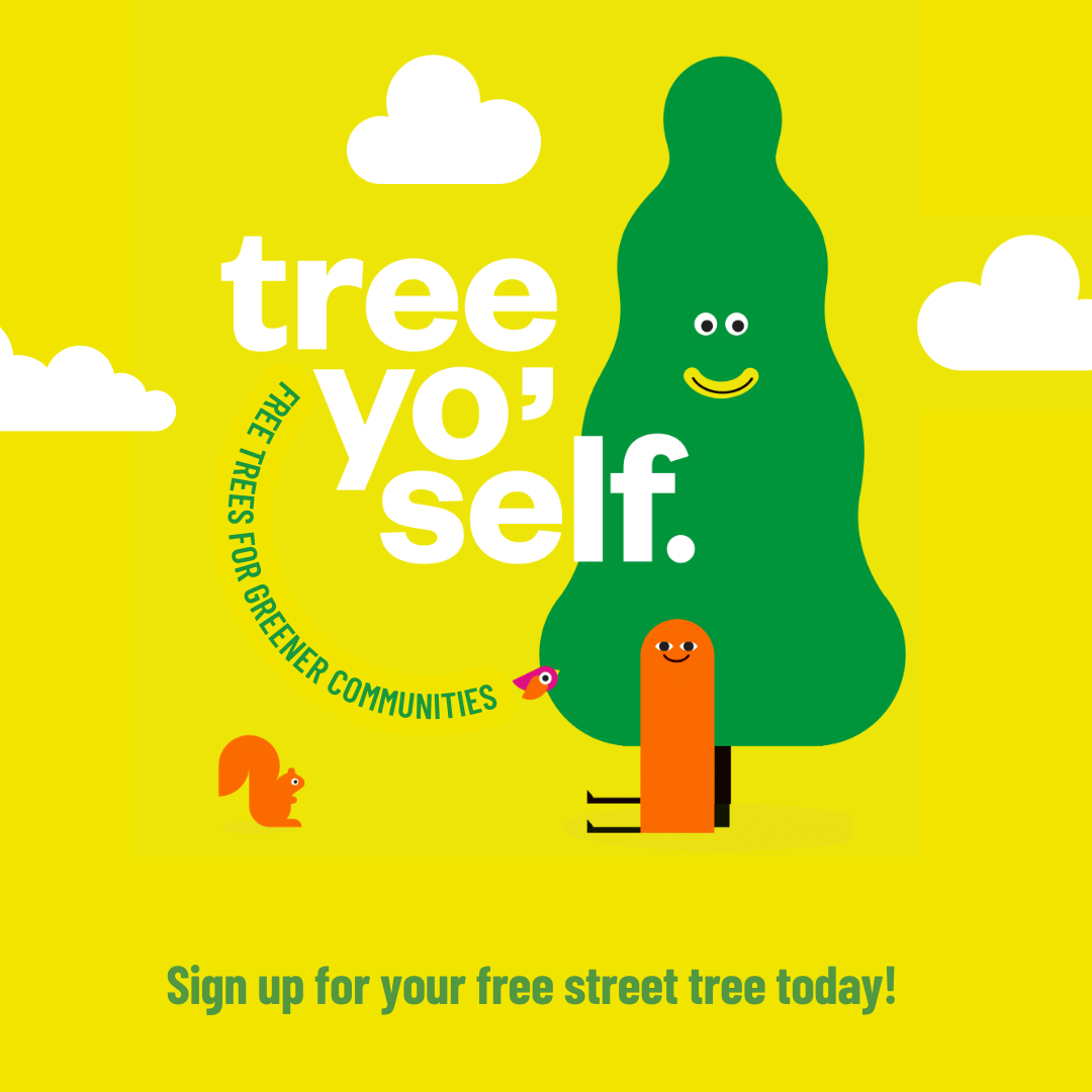 Free Tree Program Bridging The Gap