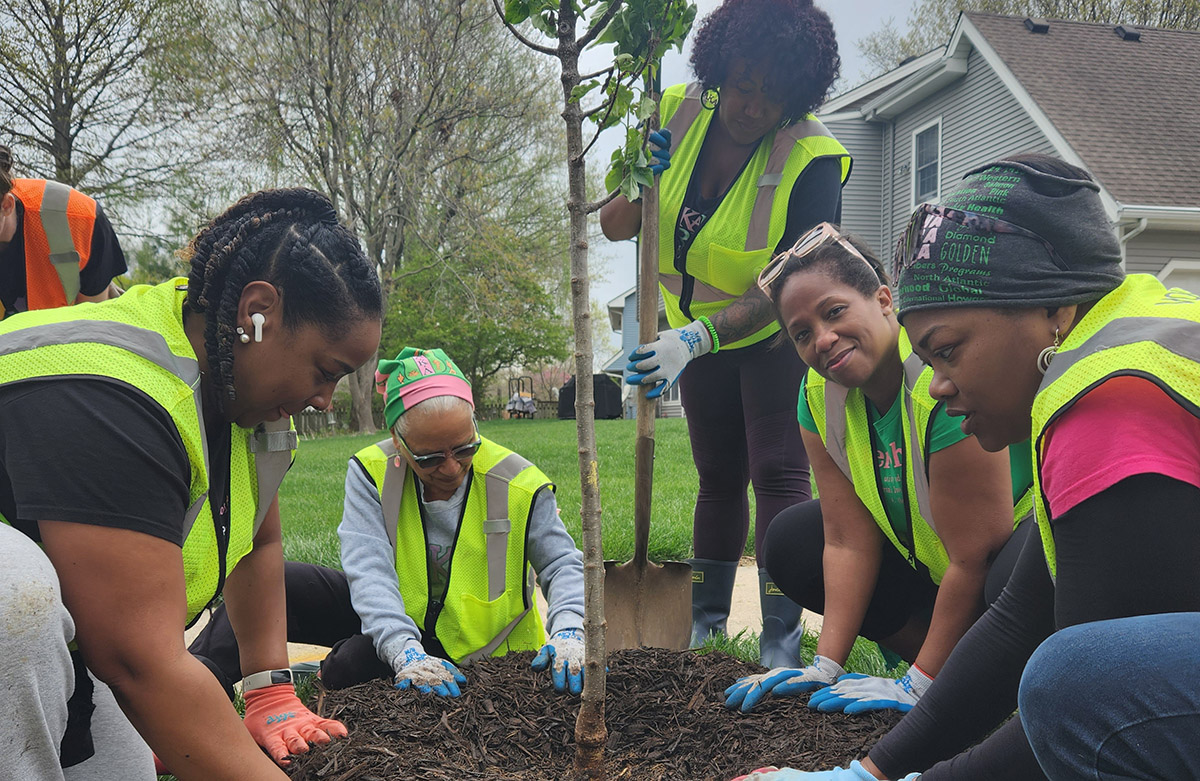 Support Us - Bridging The Gap