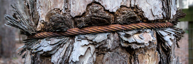 Bridging The Gap - Bridging the Gap