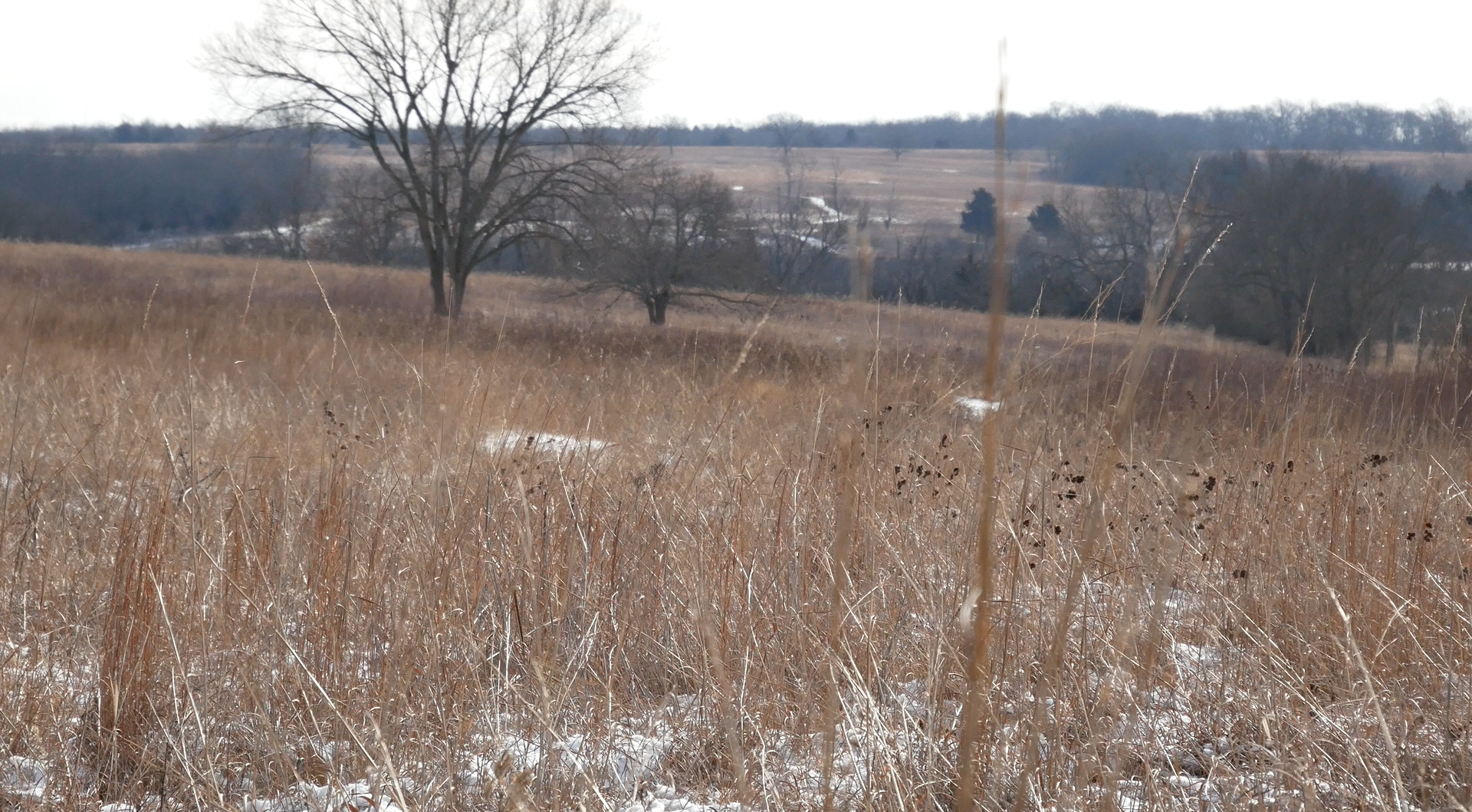 In Appreciation of Winter - Bridging The Gap